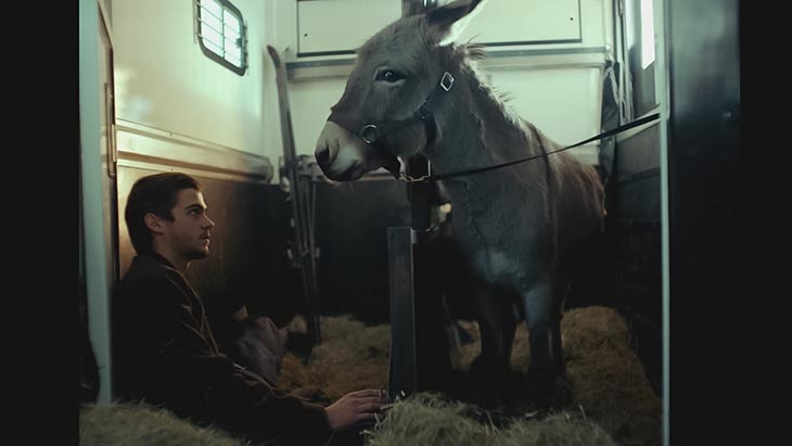 EO (2022) • Ταινία - iathens.gr